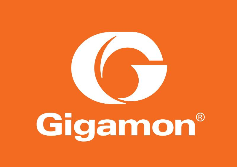 Gigamon | Mass Transit
