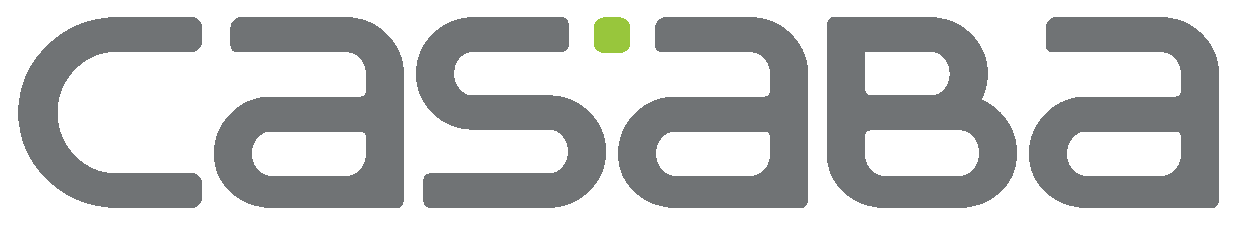 Casaba Security | Mass Transit