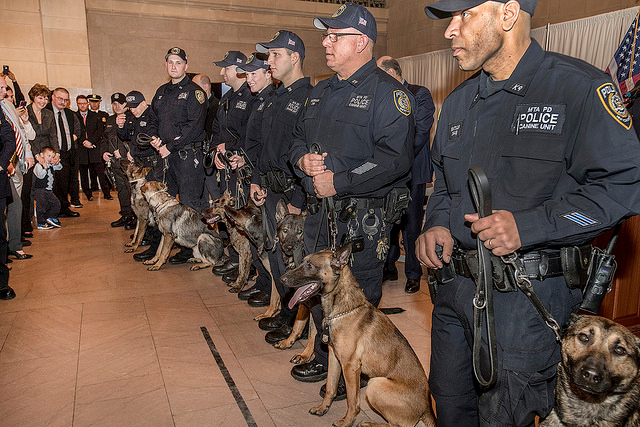 Thirteen Canines Graduate from MTA Police Department’s Explosive ...
