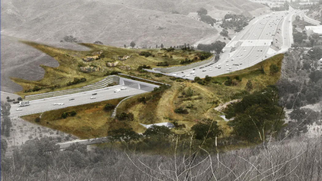 Caltrans, CDFW, Brightline West reach agreement to build wildlife ...